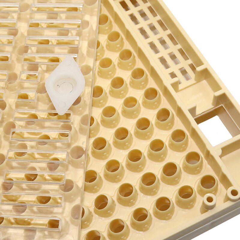 Beekeeping Queen Rearing Cell Cup Kit Beekeeping E... – Grandado