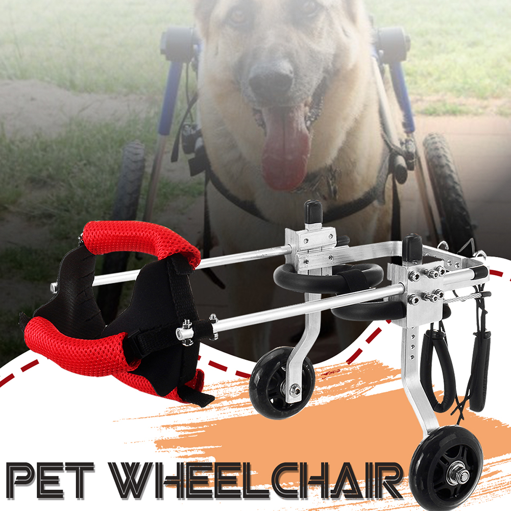 Pet Wheelchair Handicapped Cat Tool Accessories Al... – Grandado