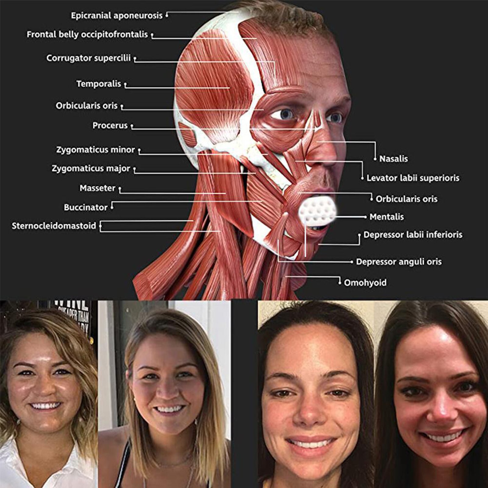 Jaw Exerciser Jawline Exerciser Jawline Shaper Fac... – Grandado