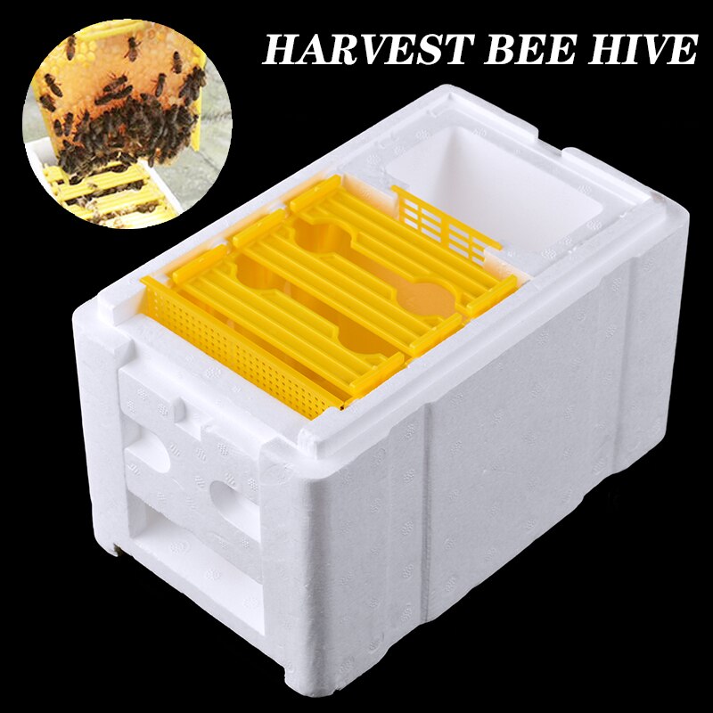 24cm Harvest Bee Hive Box Beekeeping King Box for ... – Vicedeal