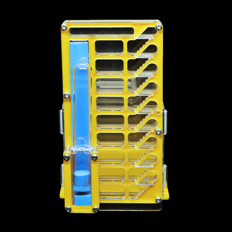 T Design formicaio fai-da-te con Area di alimentaz... – Grandado