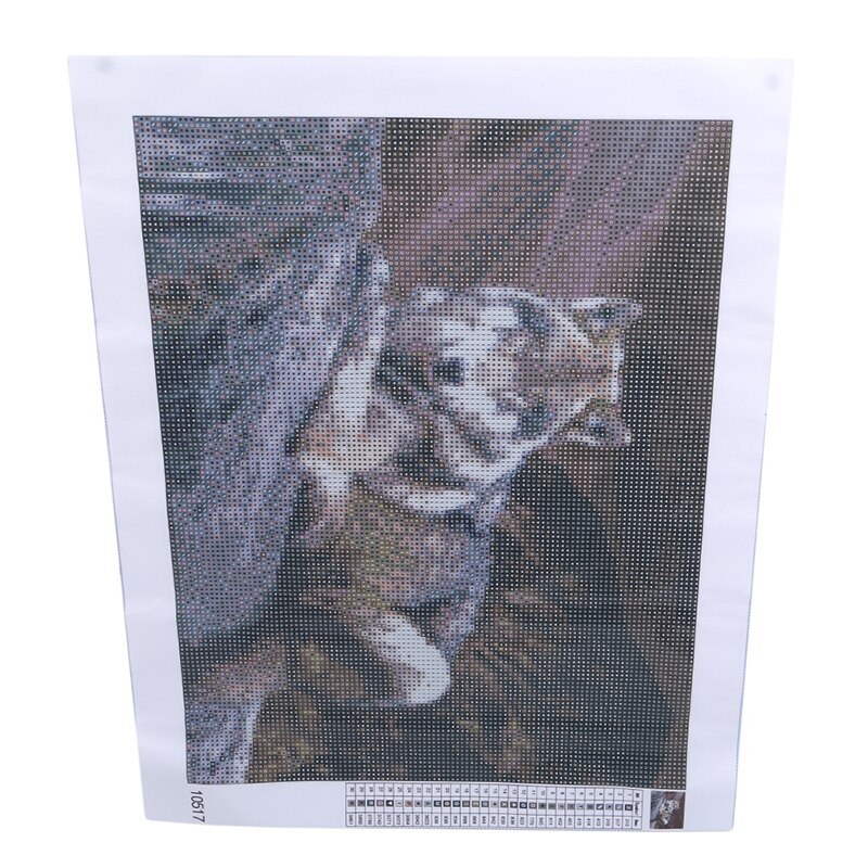 Picture Color 30*40 Round Diamond Diy Diamond Pain... – Grandado