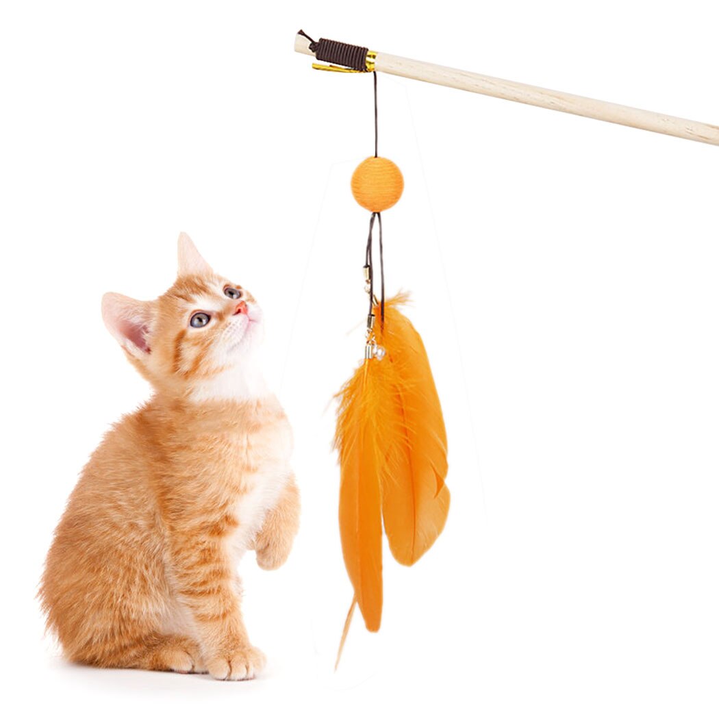 Cat Toy Pet Cat Teaser Kitten Wand Feather Interac... – Grandado