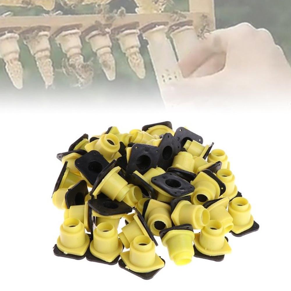 50PCS Beekeeping Queen Bee Cage Base Celular Found... – Grandado