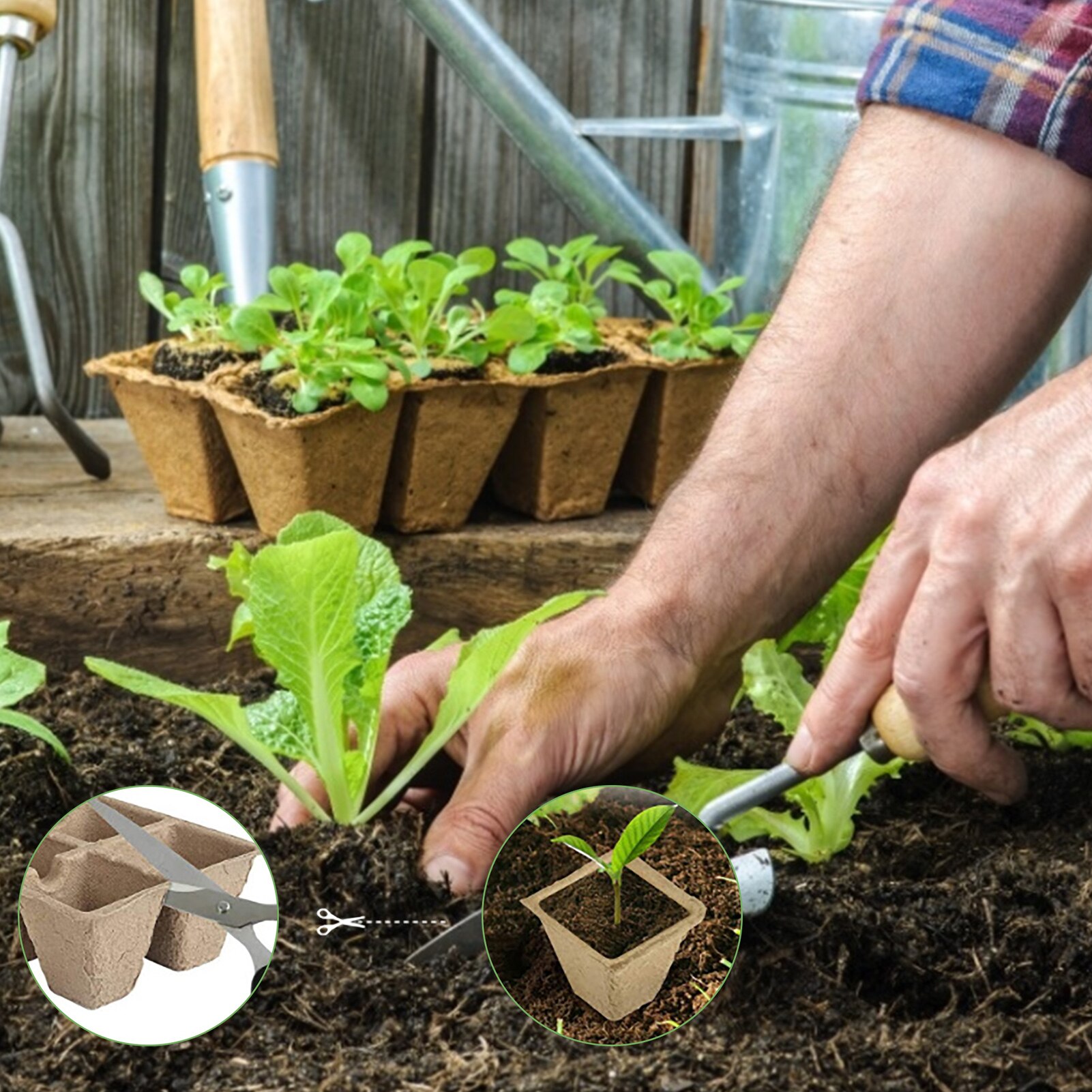 10PCS Seed Starter Pots Trays Kit 12-Hole Pulp See... – Grandado