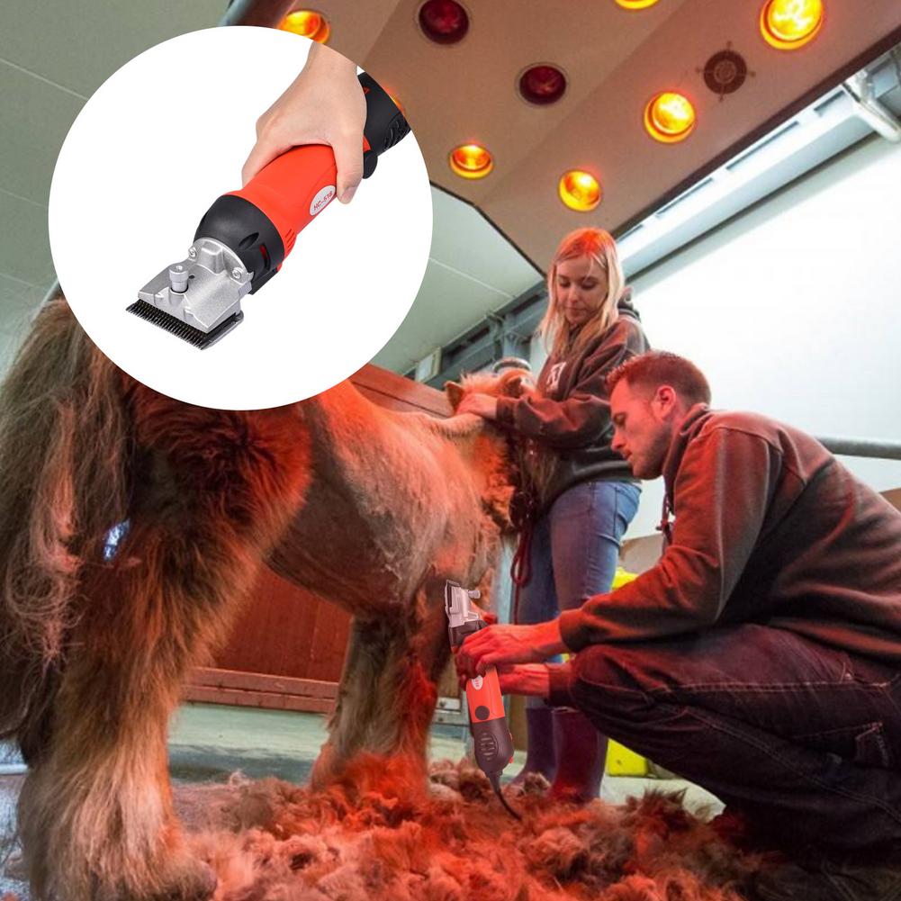 Electric Horse Clippers Heavy-duty Pet Trimmer Set... – Vicedeal