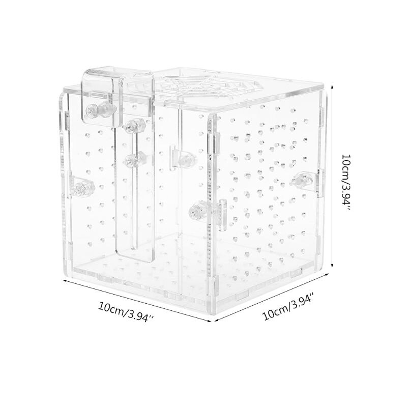 Acrylic Aquarium Fish Breeding Isolation Box With ... – Vicedeal