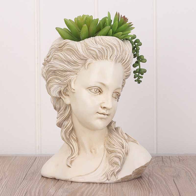 large succulent plant flower pots the head of Gree... – Vicedeal