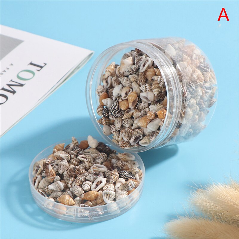 1 Box Natural Conch Shells Mini Conch Corn Screw W... – Grandado