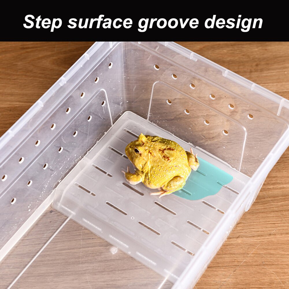 Reptile Breeding Box Acrylic Insect Terrarium Sala... – Grandado