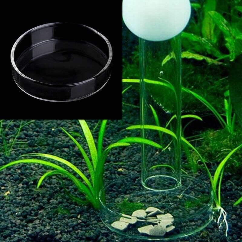 Transparent glass shrimp feeding feeder tray round... – Vicedeal