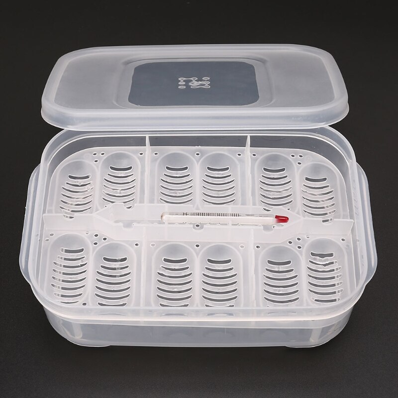 Reptile Egg Incubator Tray With Thermometer Incuba... – Grandado