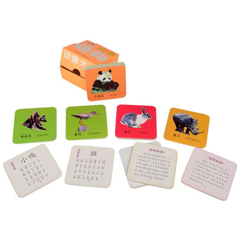 108pcs/set Kids Cards Chinese English Learning Wor... – Grandado