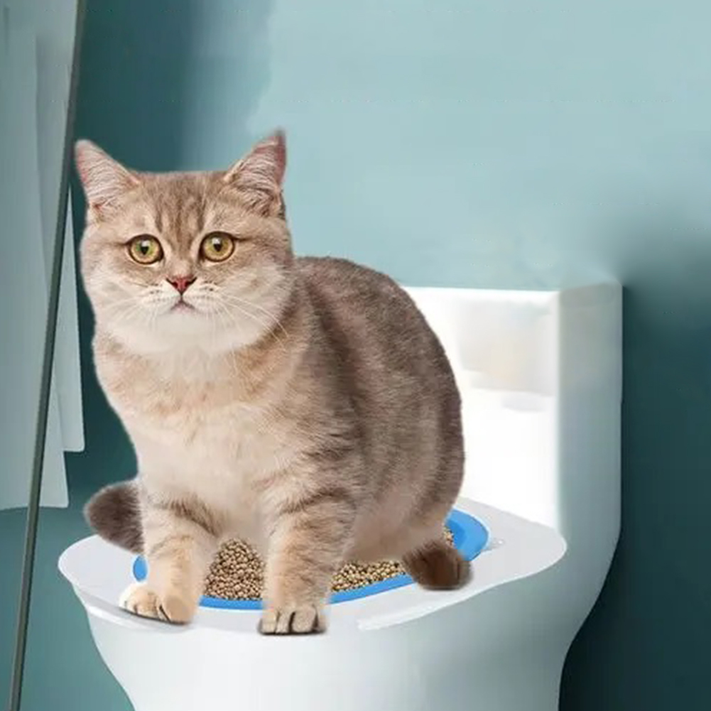 Kitten Cat Toilet Training Kit Convenient Seat Lit... – Grandado