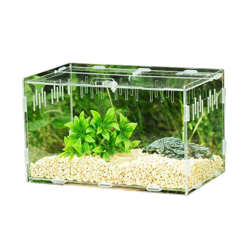 Insect Breeding Box Acrylic 360 ° Transparent Pet ... – Grandado