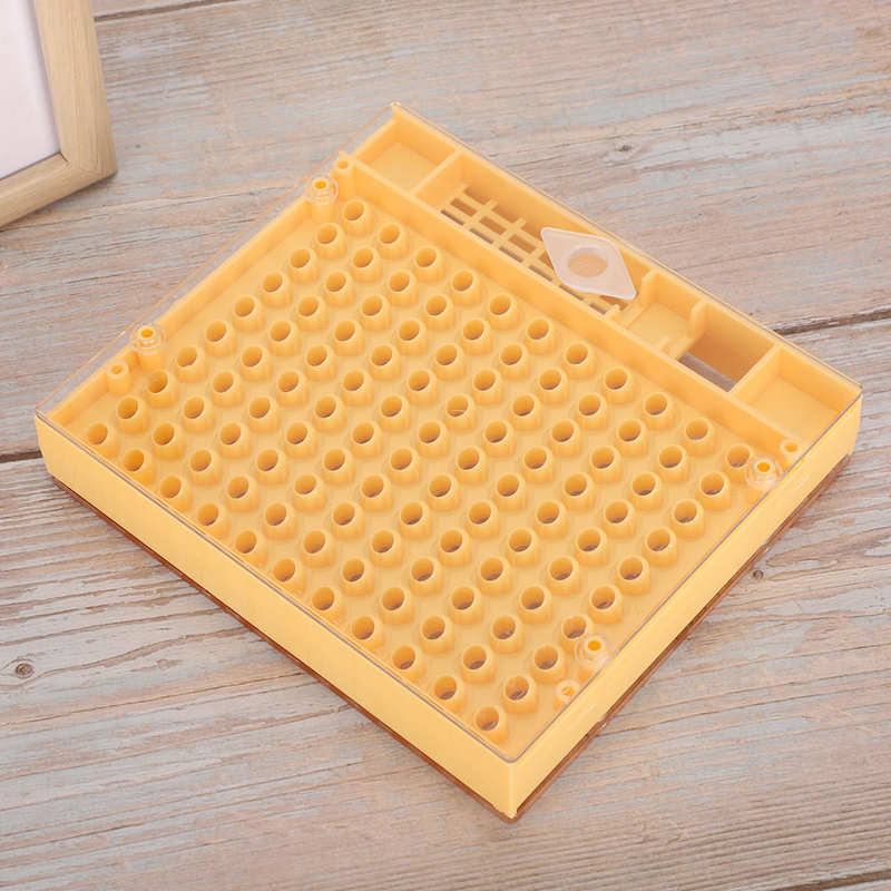 Breeding Box Bee Incubator Beekeeping Tool Plastic... – Grandado