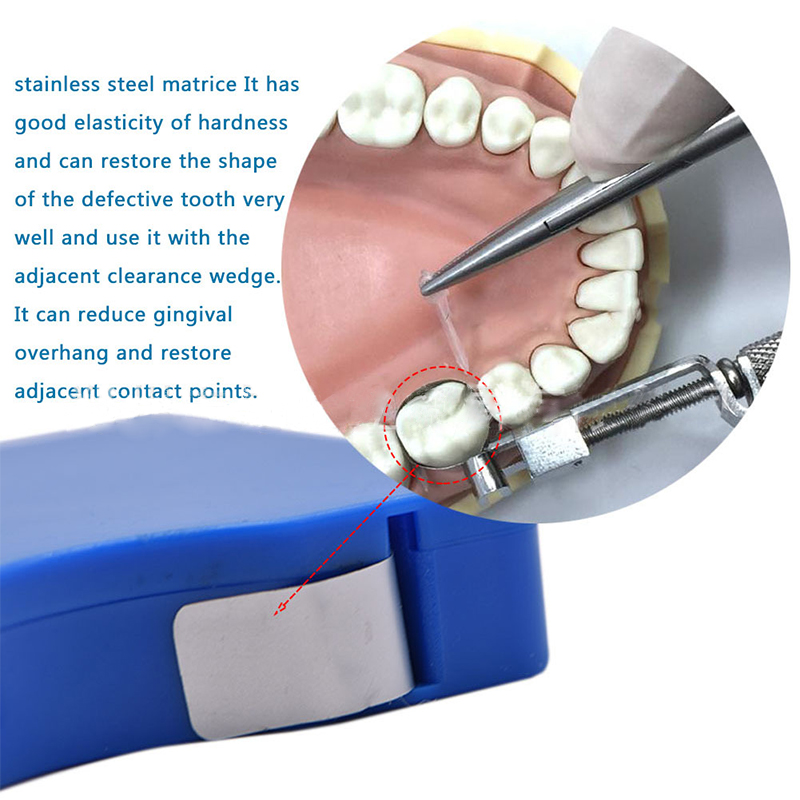 Dental Stainless Steel/Resin Matrice Matrix Bands ... – Grandado