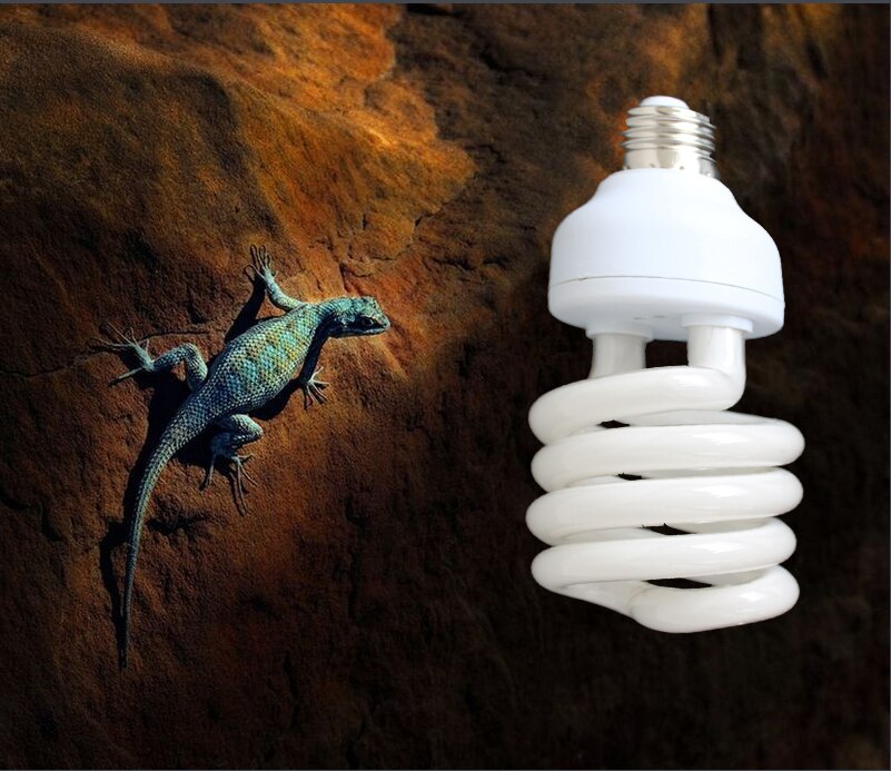 Reptile Compact Fluorescent Vivarium Lamp Light UV... – Grandado