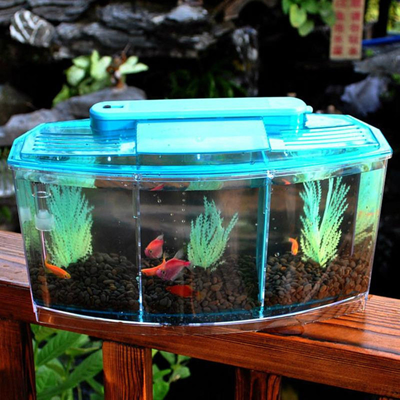 Odorless Spawning Fish Tank 2 Colors Shrimp Partit... – Grandado