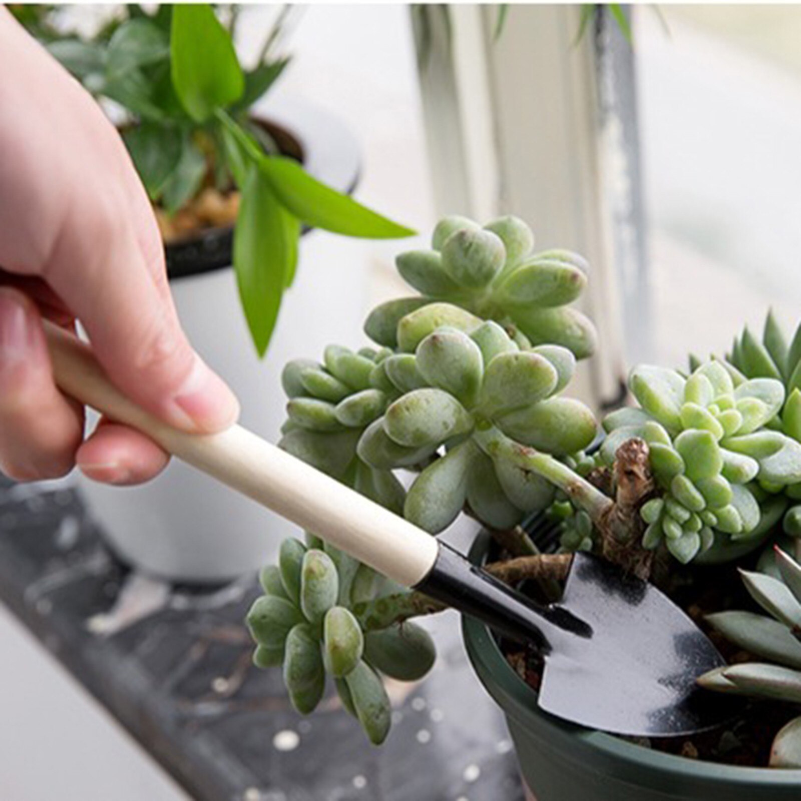 Succulent Plant Tools Mini Garden Hand Tools Set T... – Vicedeal