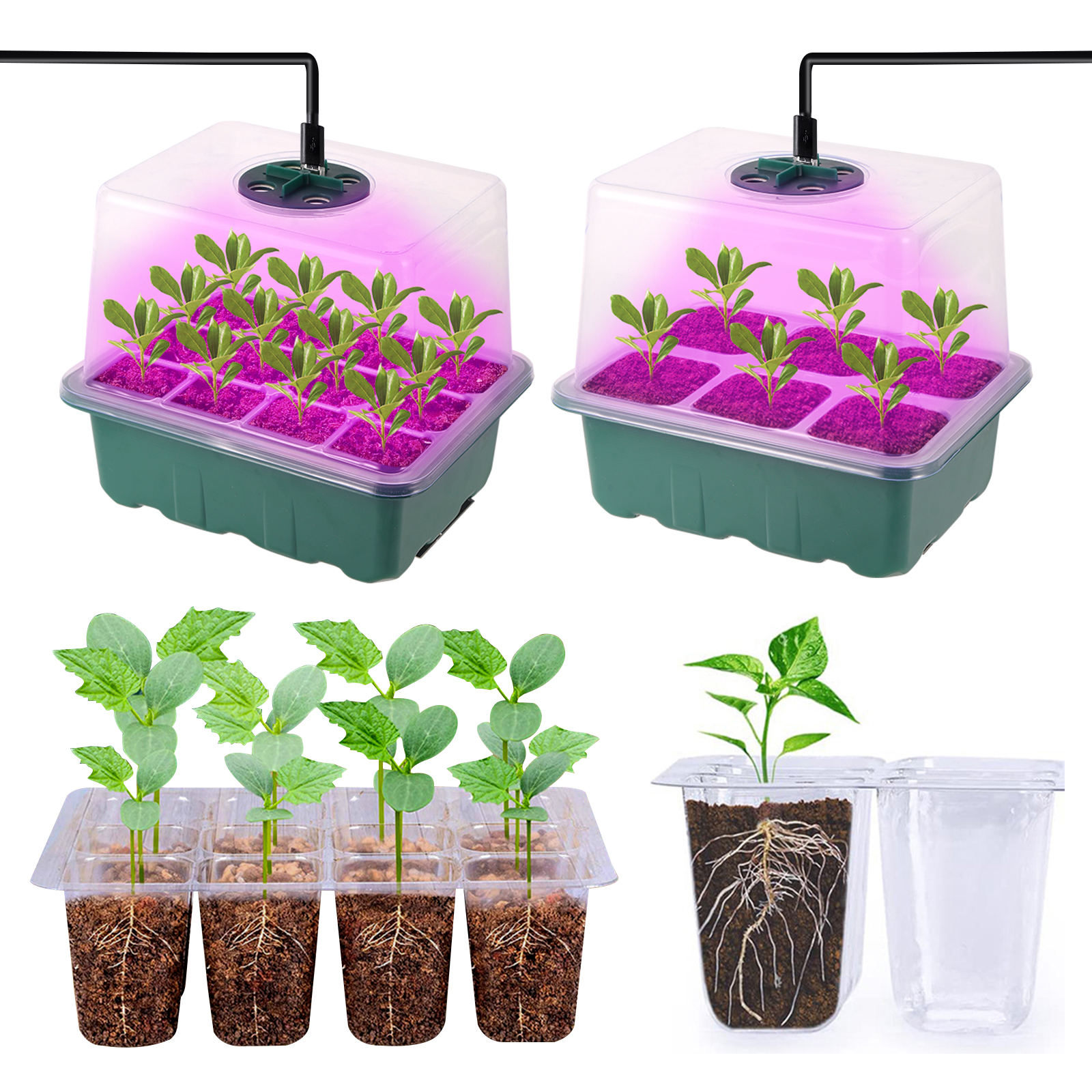 LED Grow Light High Cover Seedling Box 6/12 Grid F... – Grandado