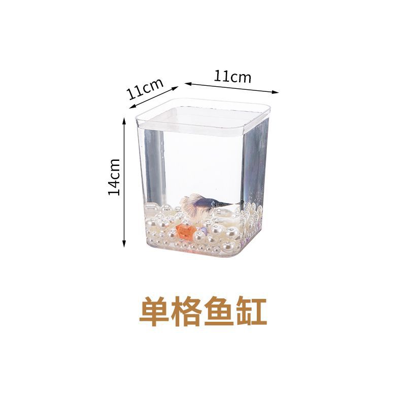 Acrylic Ornamental Fighting Fish Tank Small Row Ta... – Grandado