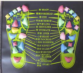 Reflexology Walk Stone Foot Leg Pain Relieve Relie... – Vicedeal