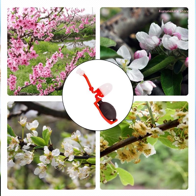 HX6D Tomato Pollinator Peach Pear Tree Plant Fruit... – Grandado