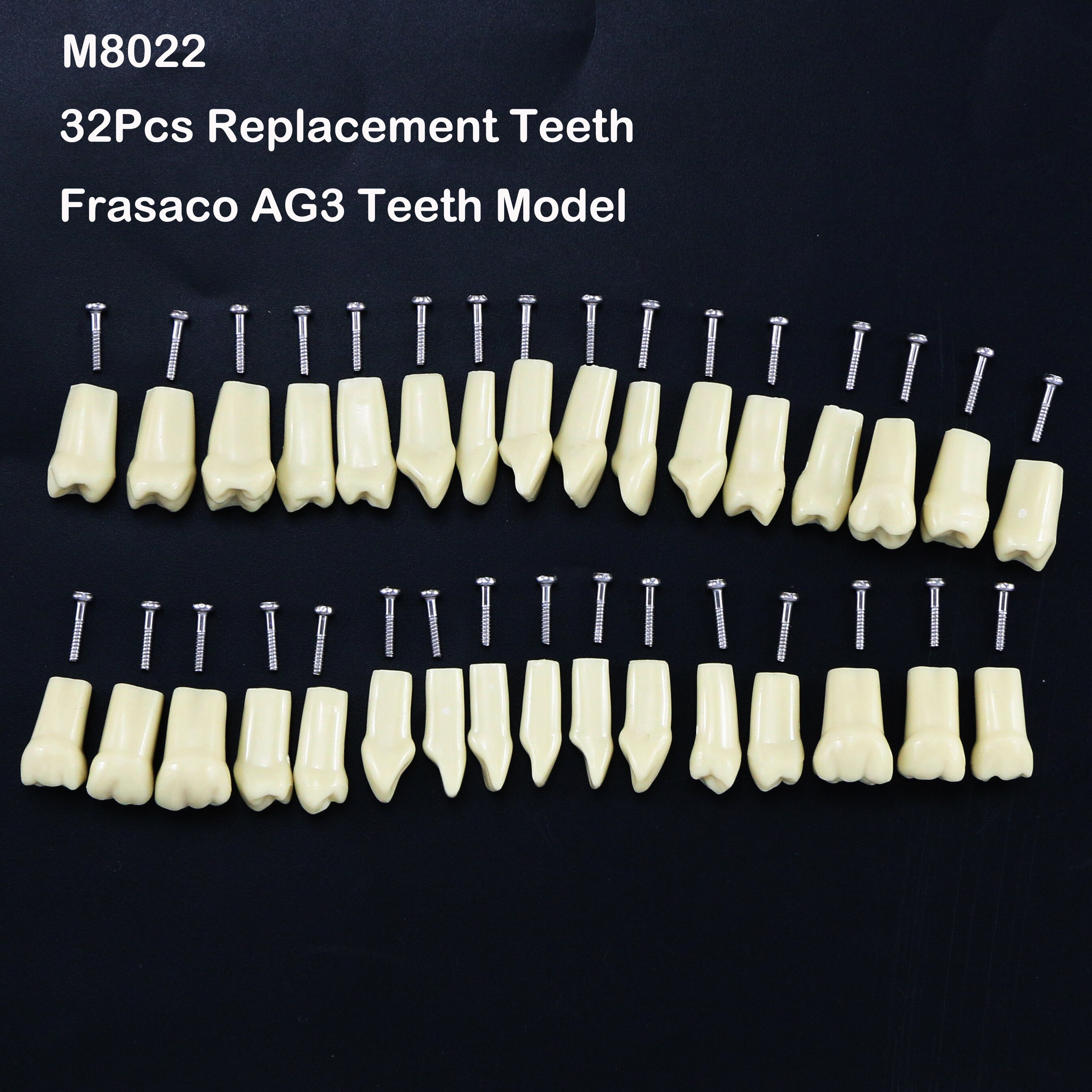 Frasaco AG-3 Type Dental 32Pcs Replacement Standar... – Vicedeal