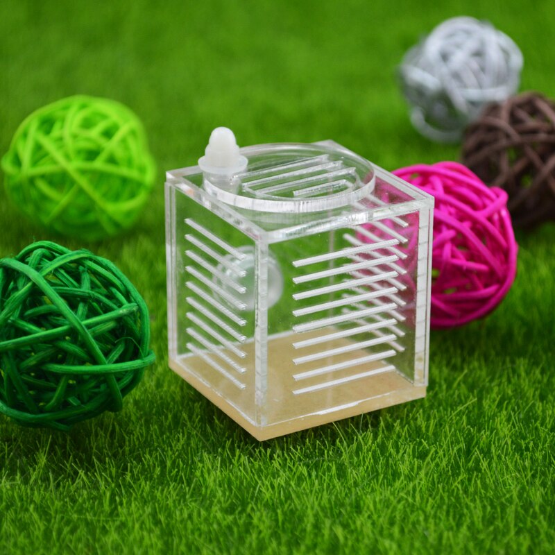 CWXTGS 1 PCS Kattenbakvulling Dozen Dump Tanks Min... – Grandado