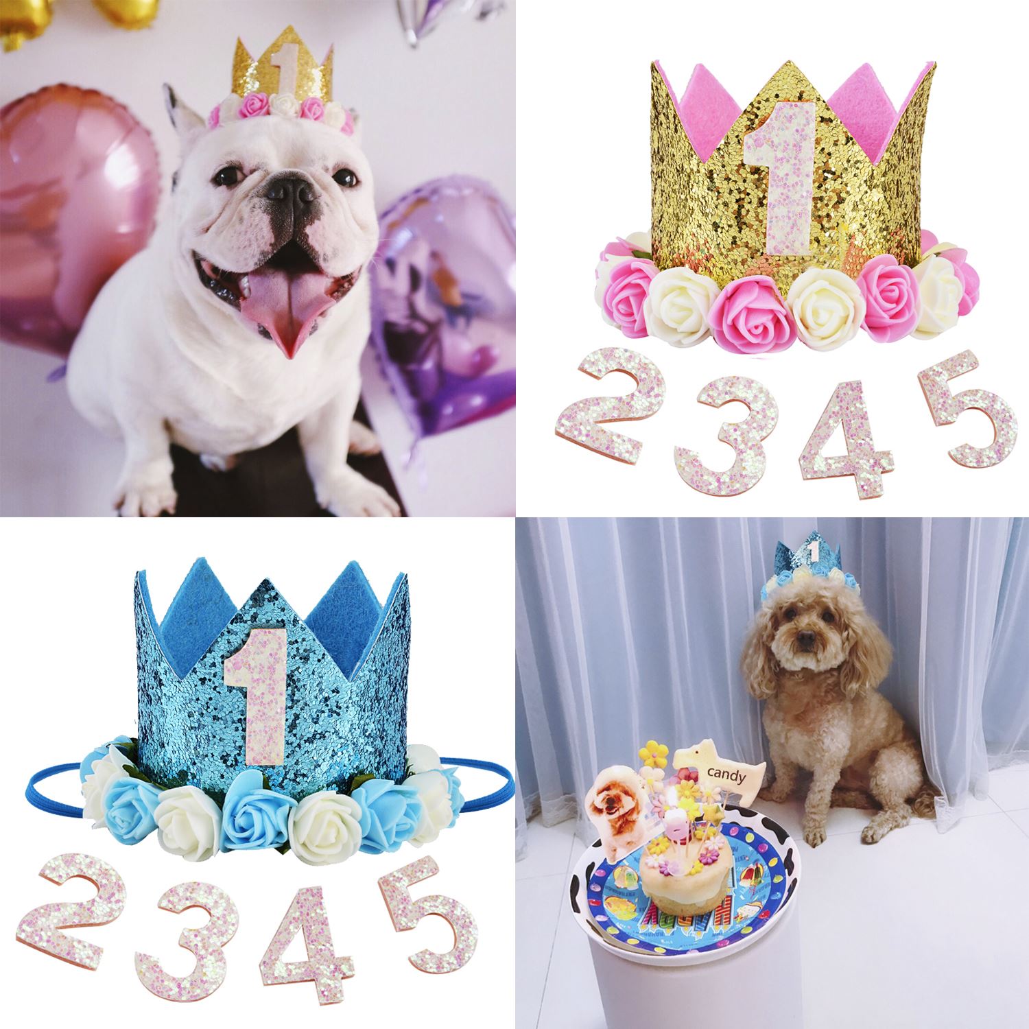 Pet Cat Dog Birthday Party Hat One to Five Caps Fi... – Grandado