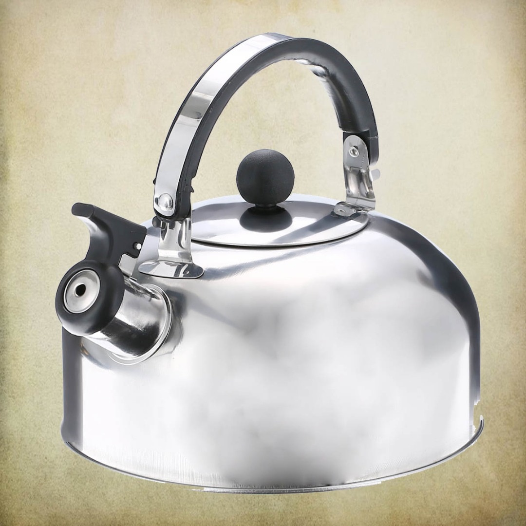 2L Stainless Steel Whistle Tea Kettle Water Pot He... – Grandado