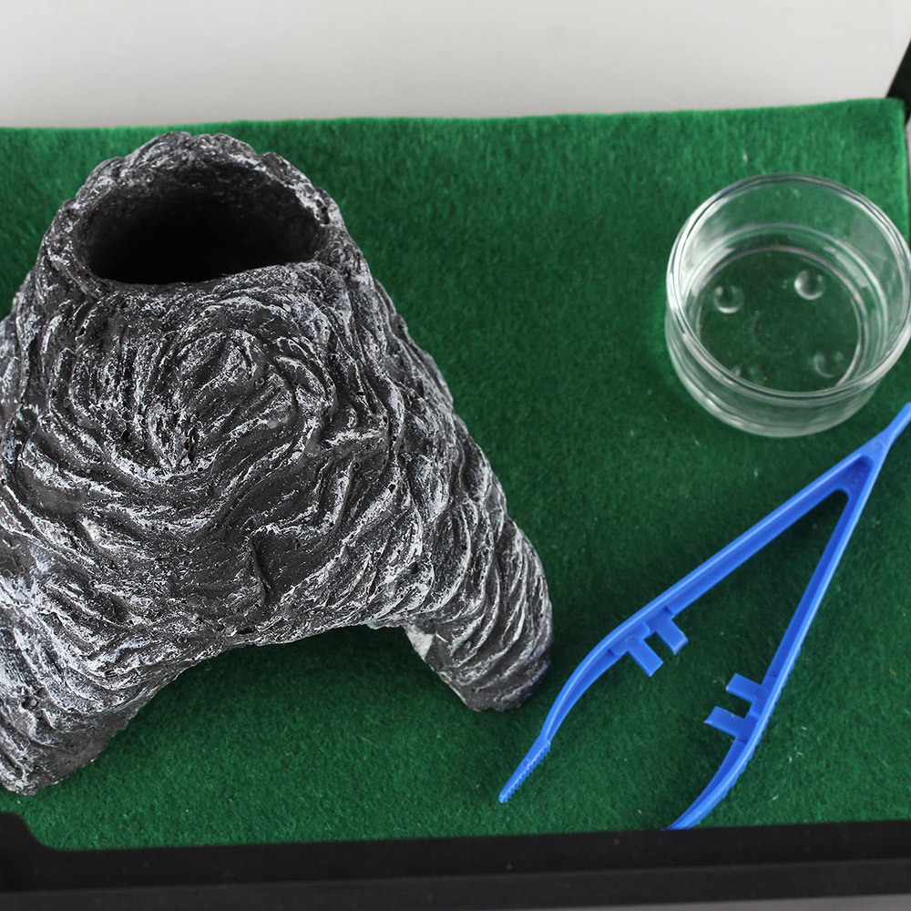 Reptile Kit Spider Box Frog House Tarantula Contai... – Grandado