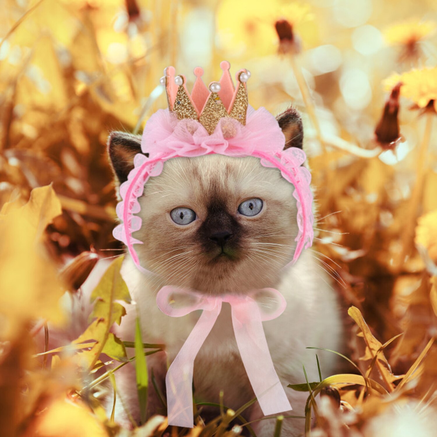 Pet Cat Birthday Hat Decorative Crown Shape Pet Co... – Grandado