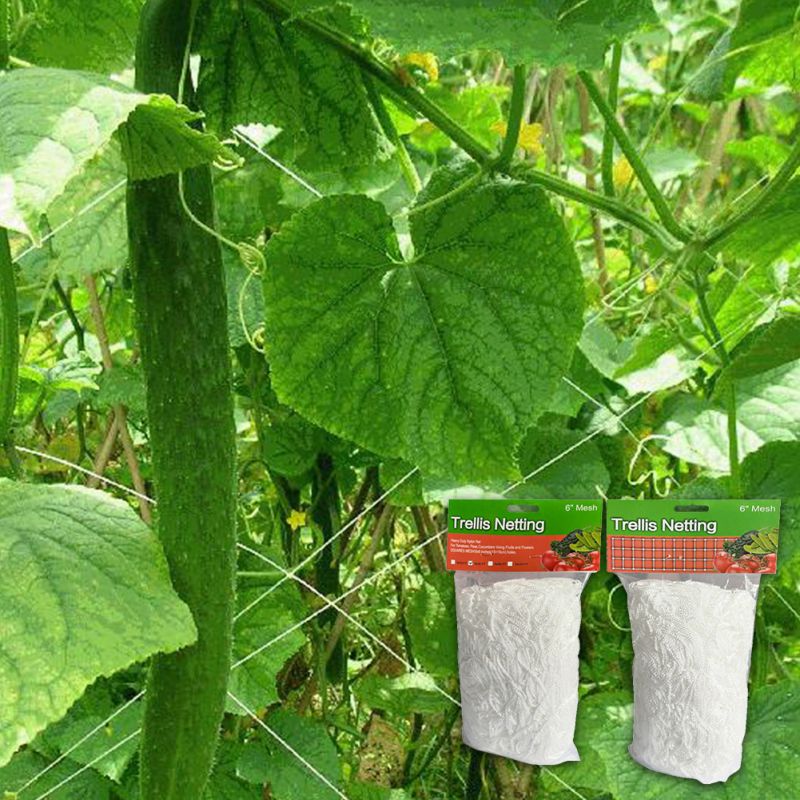5/10m Trellis Netting Unterstützung Reben Weben Wa... – Vicedeal