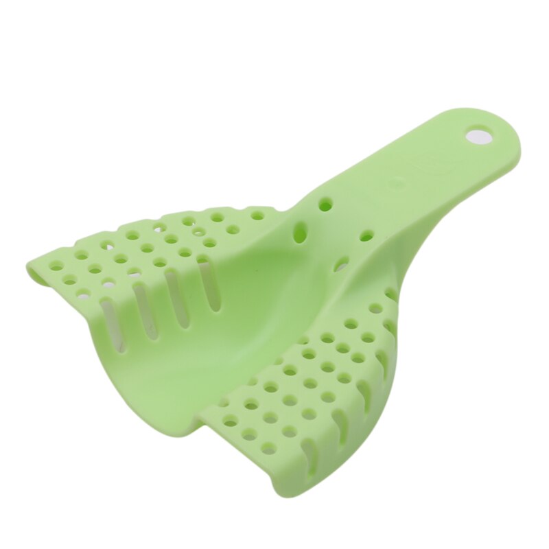 10Pcs/Set Plastic Teeth Holder Trays Dental Impres... – Grandado