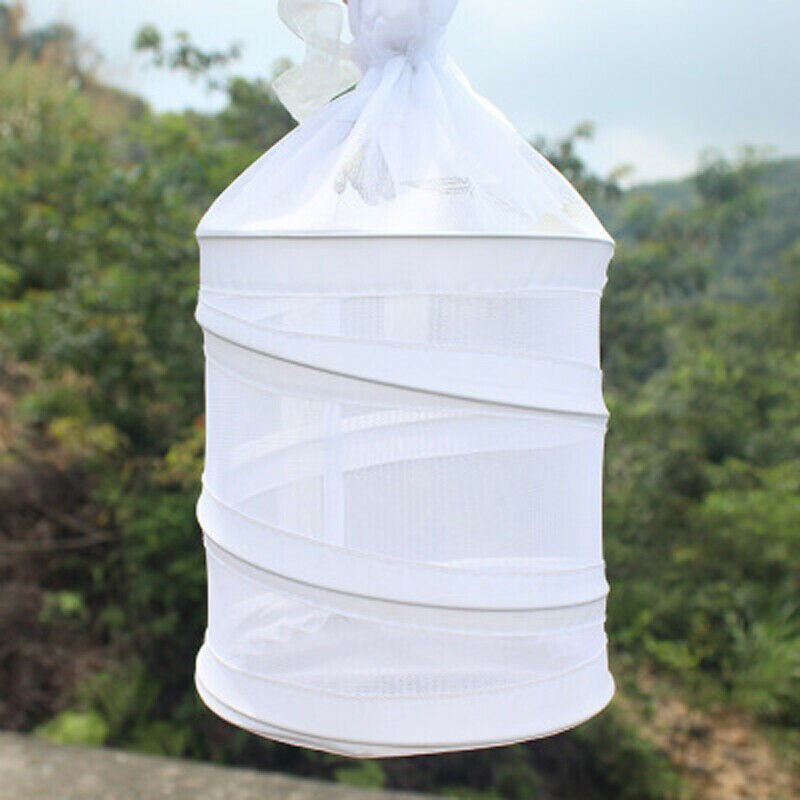 Insect Observation Box White Insect Breeding Cage ... – Grandado