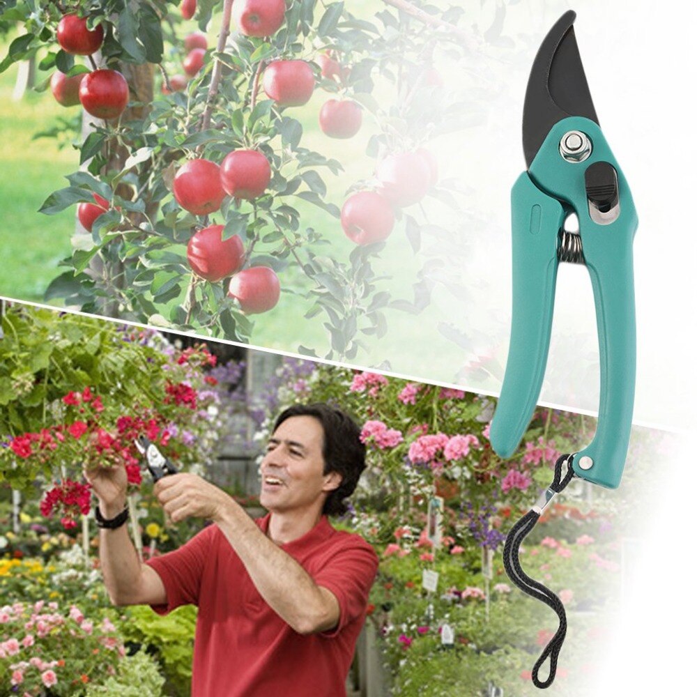 Gardening Pruning Shear Snip Tool Pruner Scissor B... – Grandado
