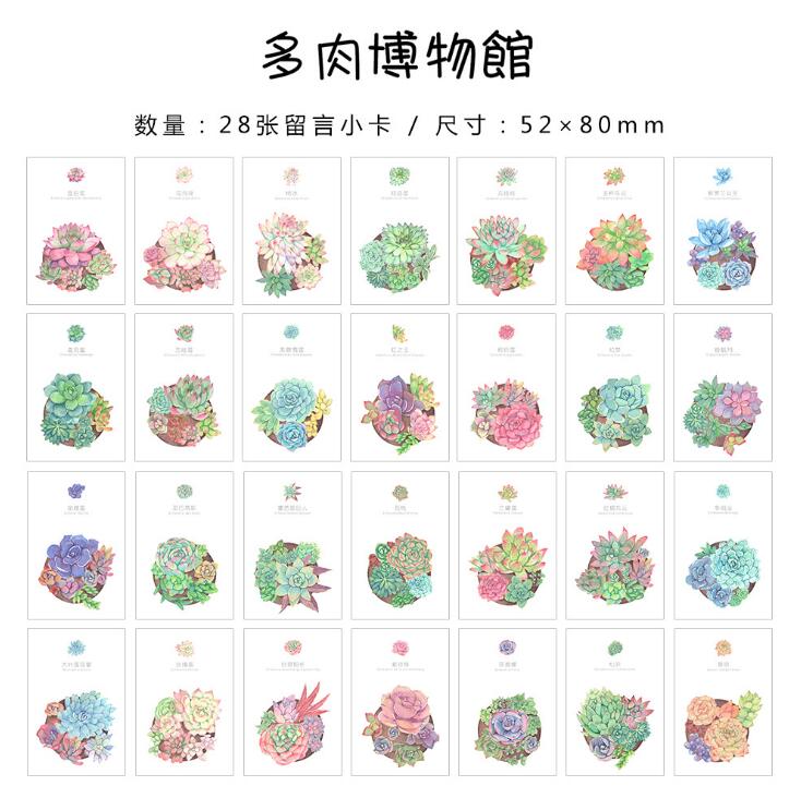 28 pcs/pack Succulent Plants Museum Mini Lomo Card... – Grandado