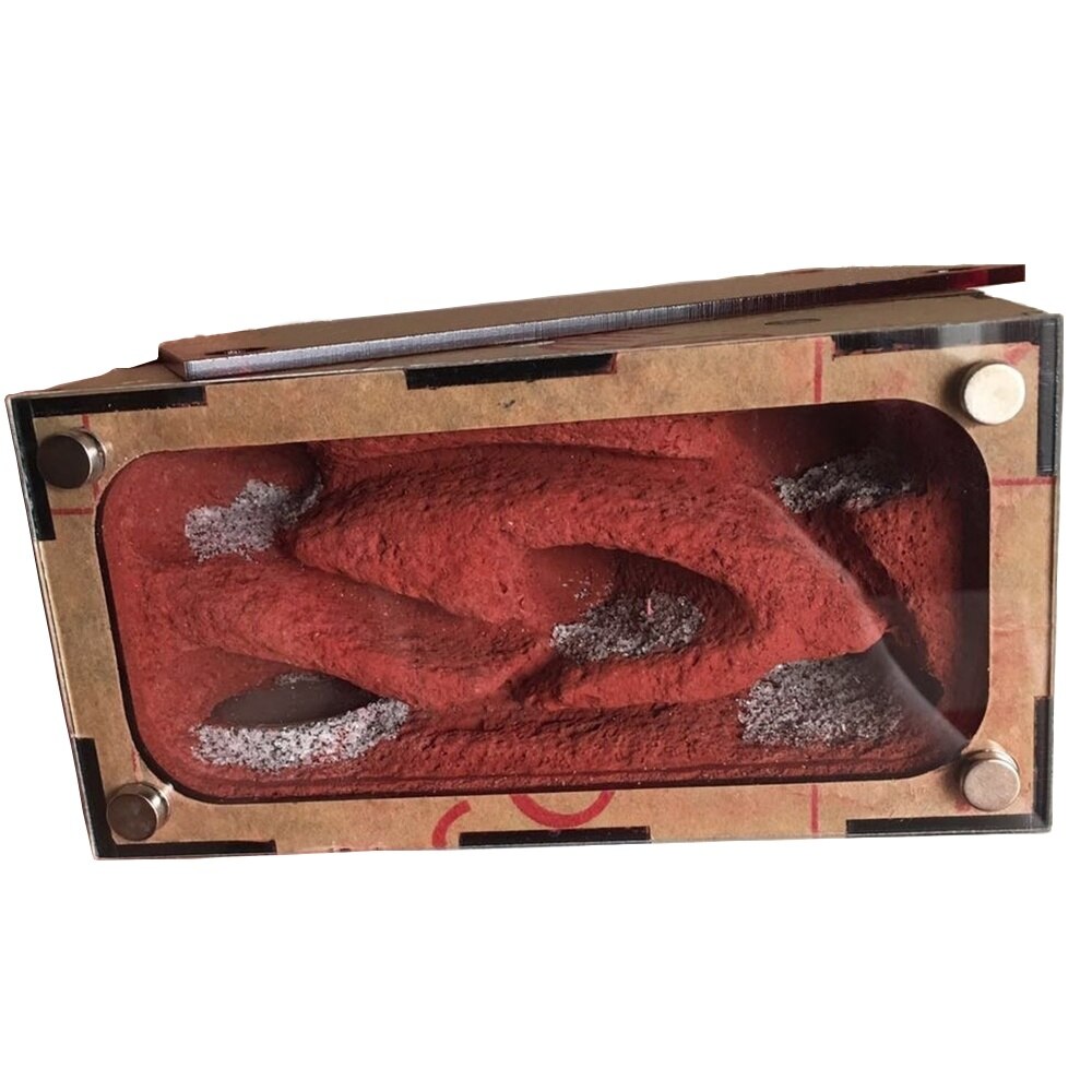 Concrete Ecological Ant Farm Acryl Ant House Pet A... – Grandado