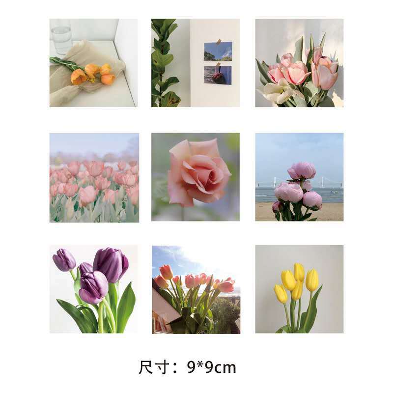 Ins Style Plant Flower Tulip Rose Postcard 9 Sheet... – Grandado