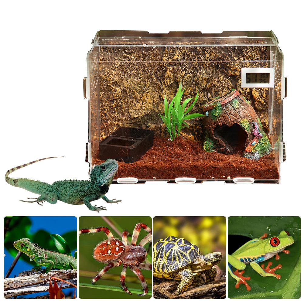 Acrylic Reptile Breeding Box Container Spider Liza... – Grandado