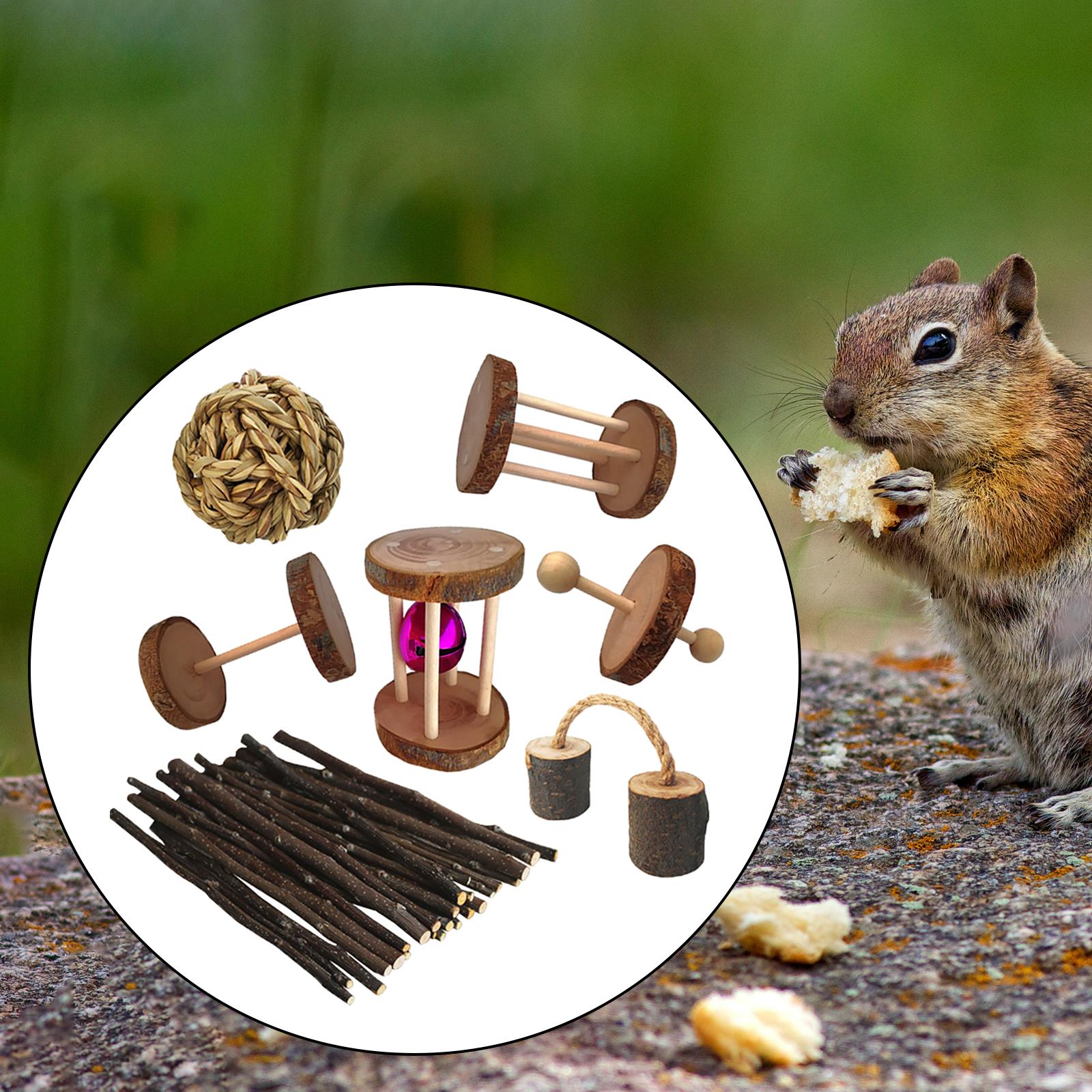 Hamster Rabbit Chew Toys Set Bite Grind Teeth Toys... – Grandado