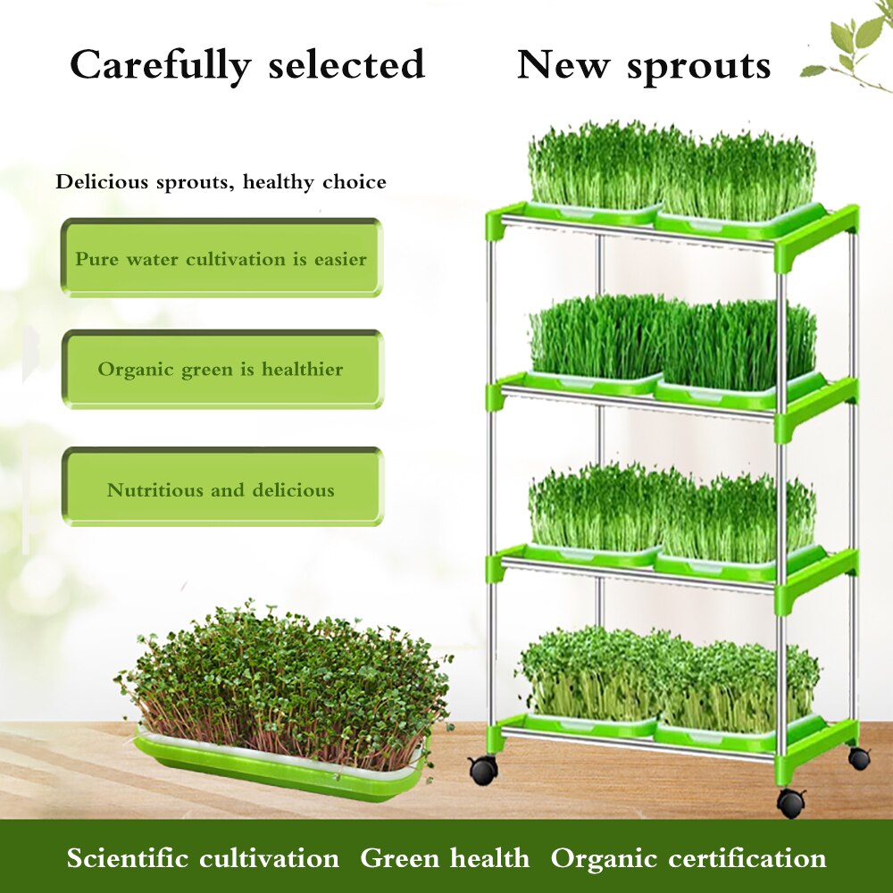 Double-layer Seedling Tray Sprout Plate Soilless C... – Vicedeal