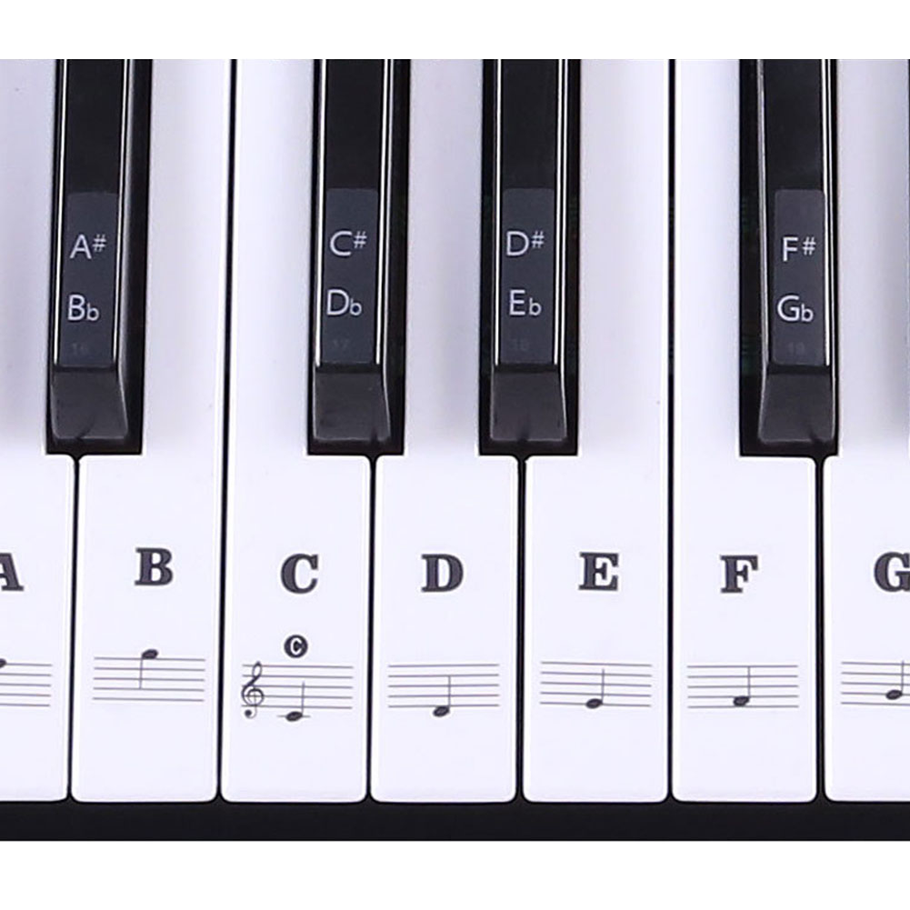 Piano Keyboard PVC Sticker Stave Note Biginners Mu... – Vicedeal