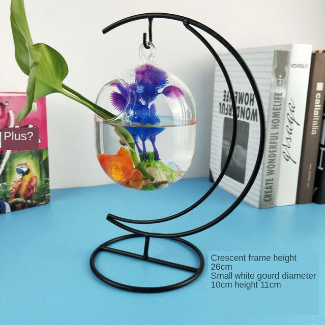 Desktop Hanging Mini Aquatic Plants Vase Fish Tank... – Vicedeal