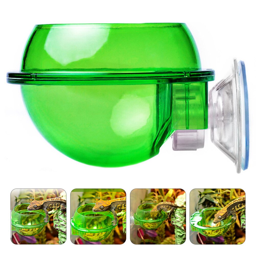 4Pcs Reptile Feeder with Suction Cup Lizard Wall H... – Grandado