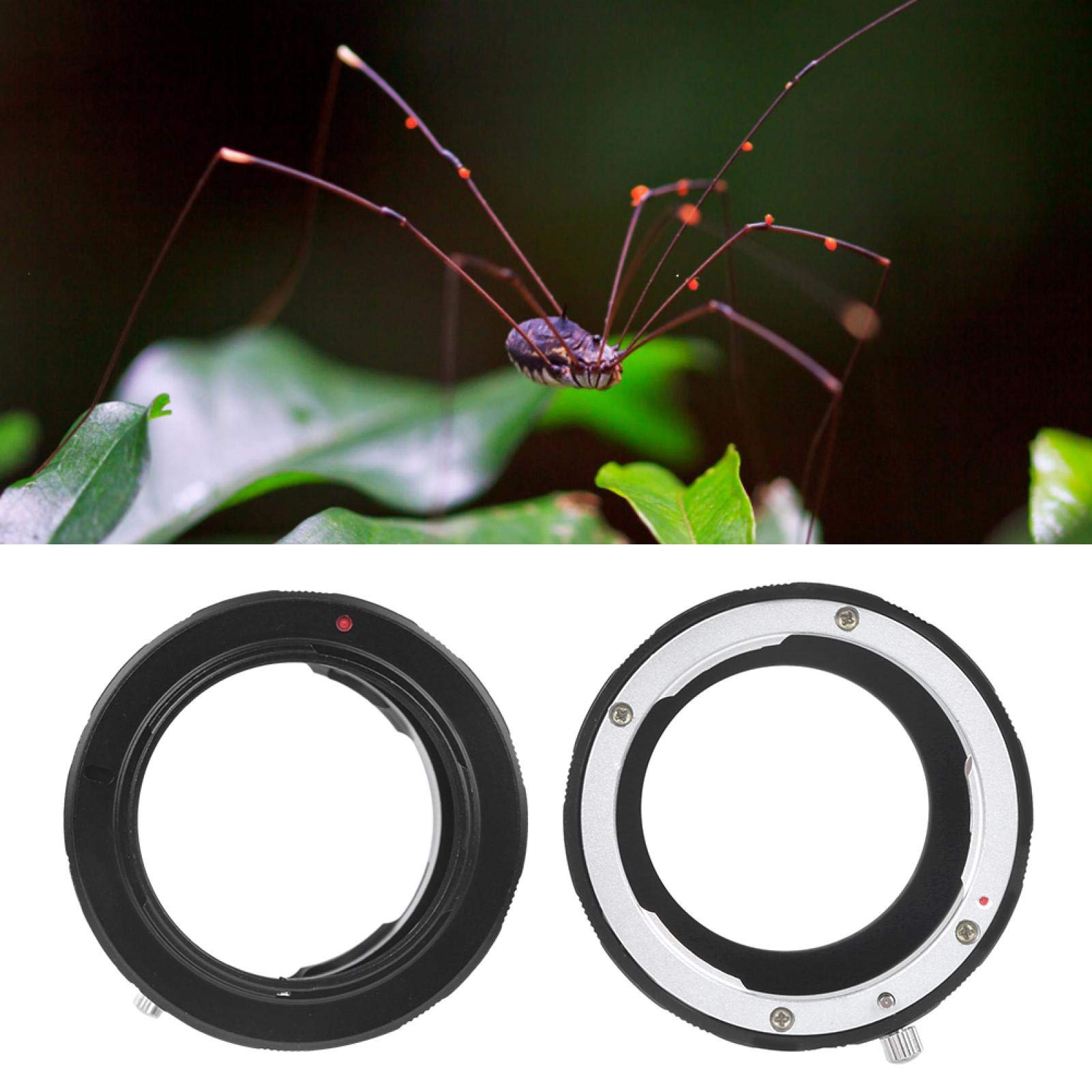 Camera Adapter Ring Macro Extension Tube for Nikon... – Grandado