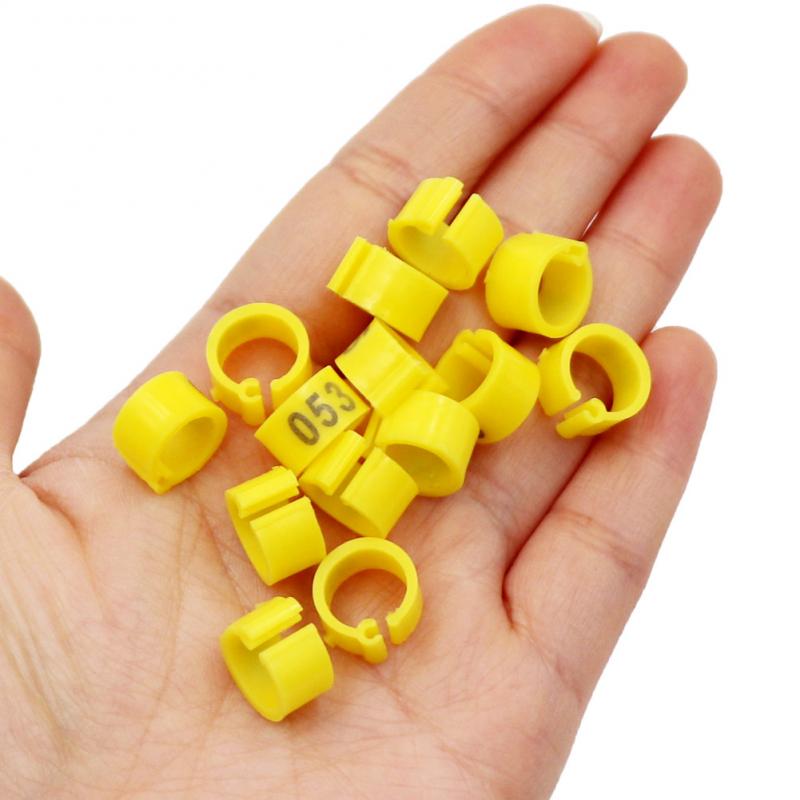 100Pcs Pigeon Foot Rings Inner 8mm with Words 9 Co... – Grandado