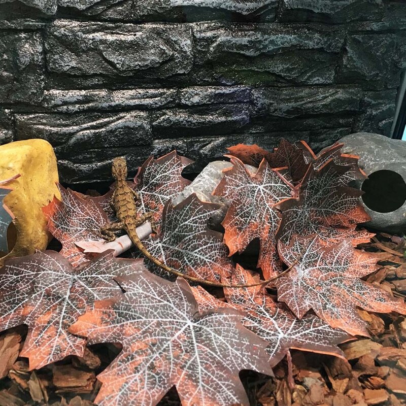 Snake Hides Small Reptile Hideout Caves Terrarium ... – Grandado